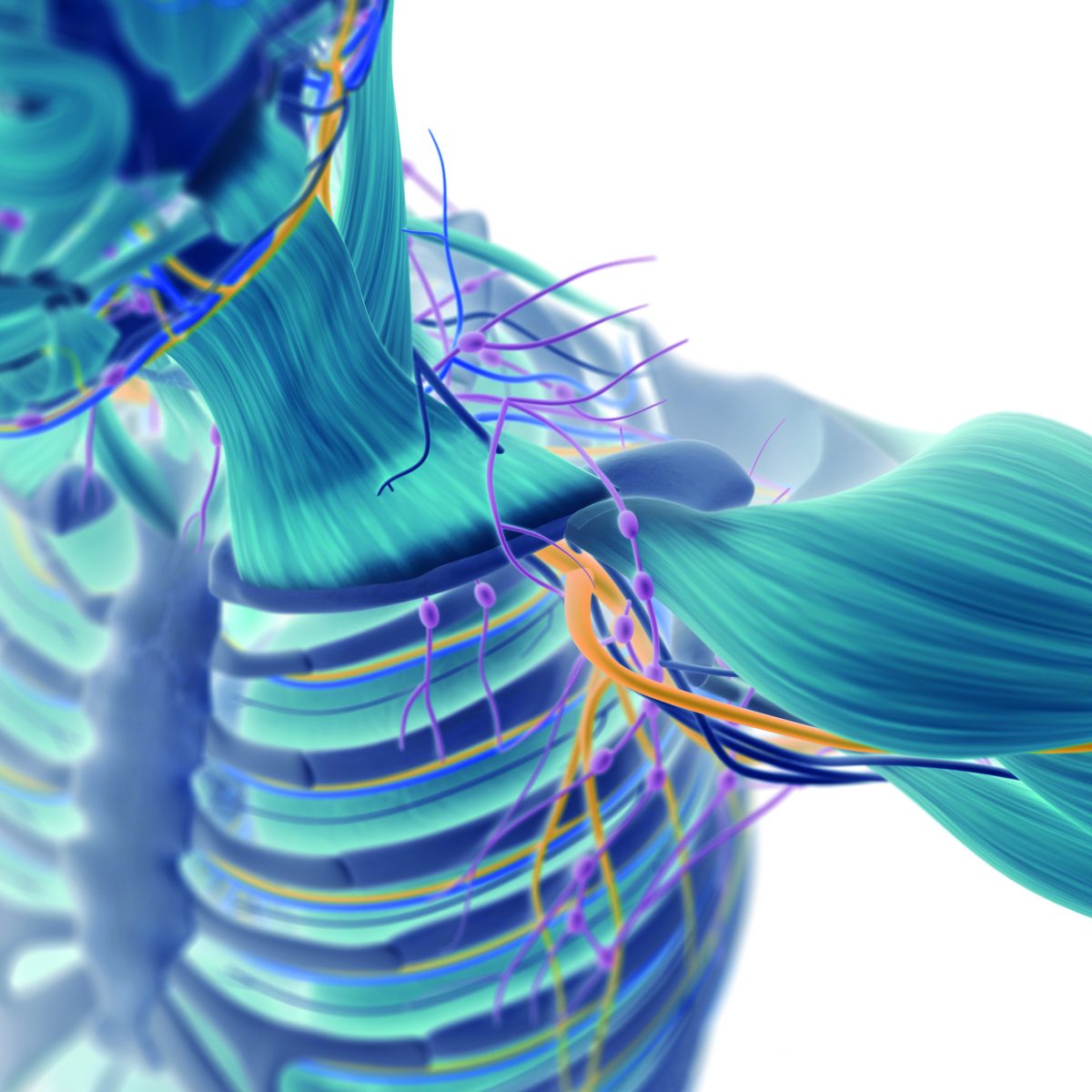 MSDs and Steps to Control - Cardinus