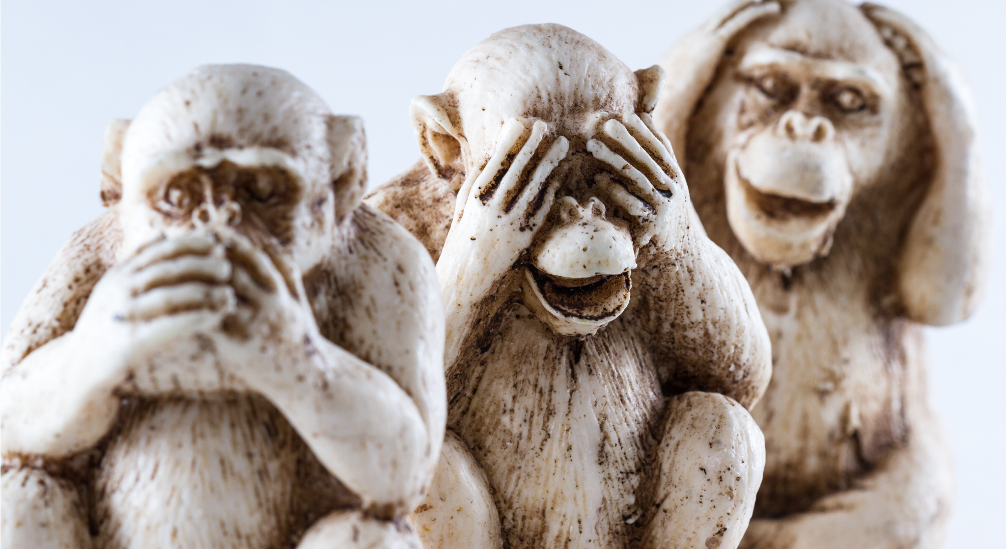 Effective Ergonomics Landing page - Cardinus