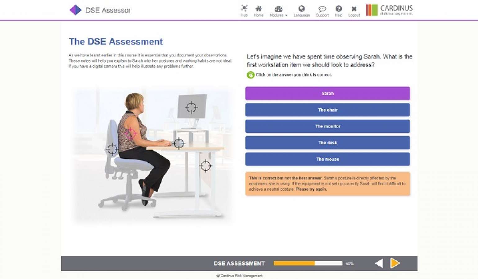 DSE Assessor E-Learning