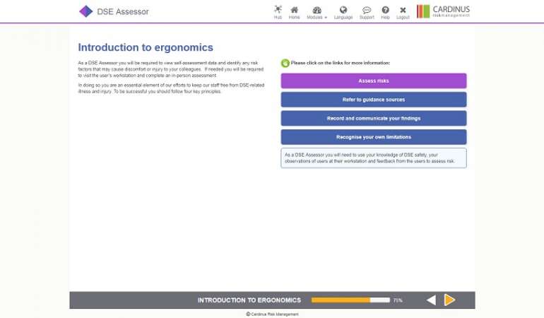 DSE Assessor E-Learning