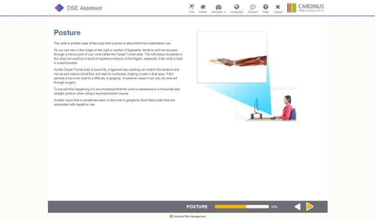 DSE Assessor E-Learning