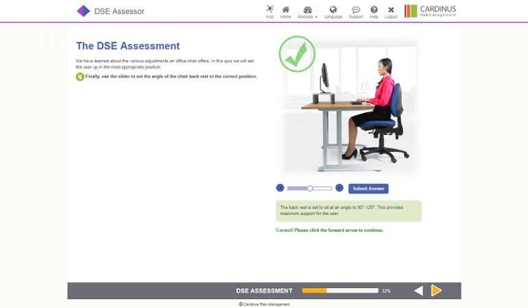 DSE Assessor E-Learning