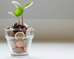 A Guide to Ergonomic Tools for the Construction Industry - Cardinus