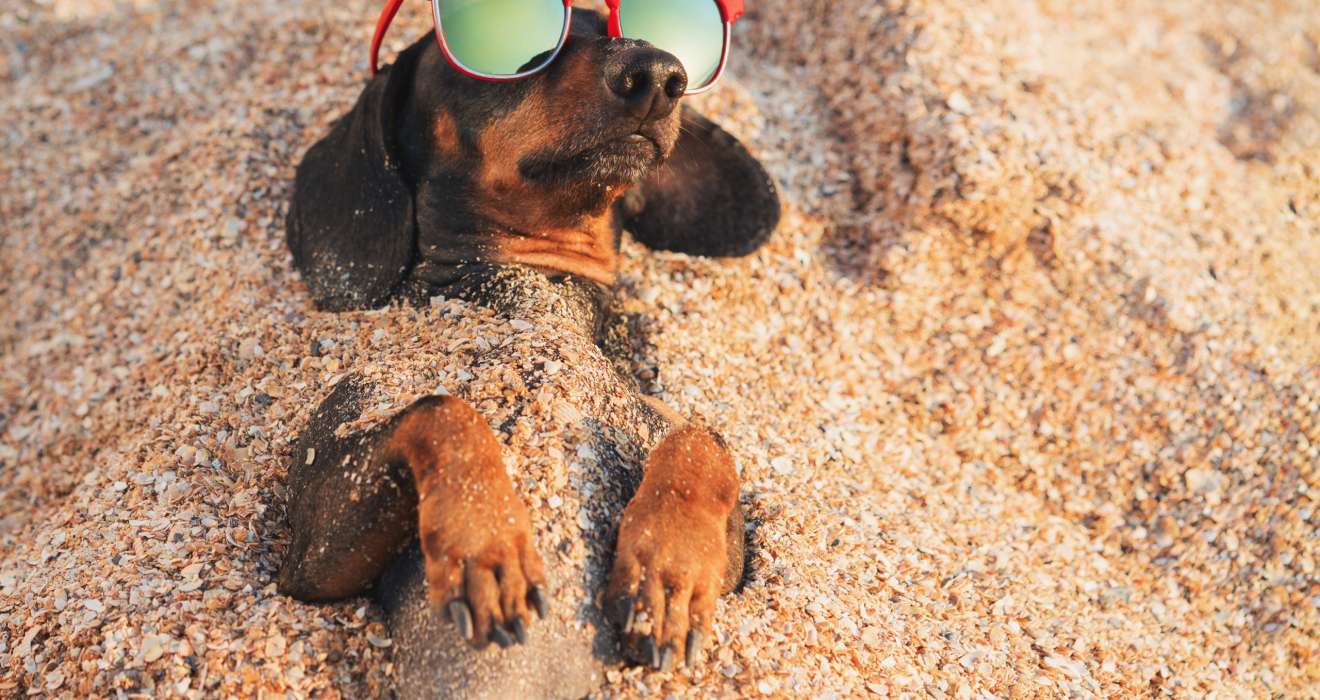 Cardinus - Health, Safety and Risk Management Specialists